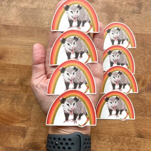 Sticker: Vintage Rainbow Possum Opossum Planner, Craft, Vinyl Art ...