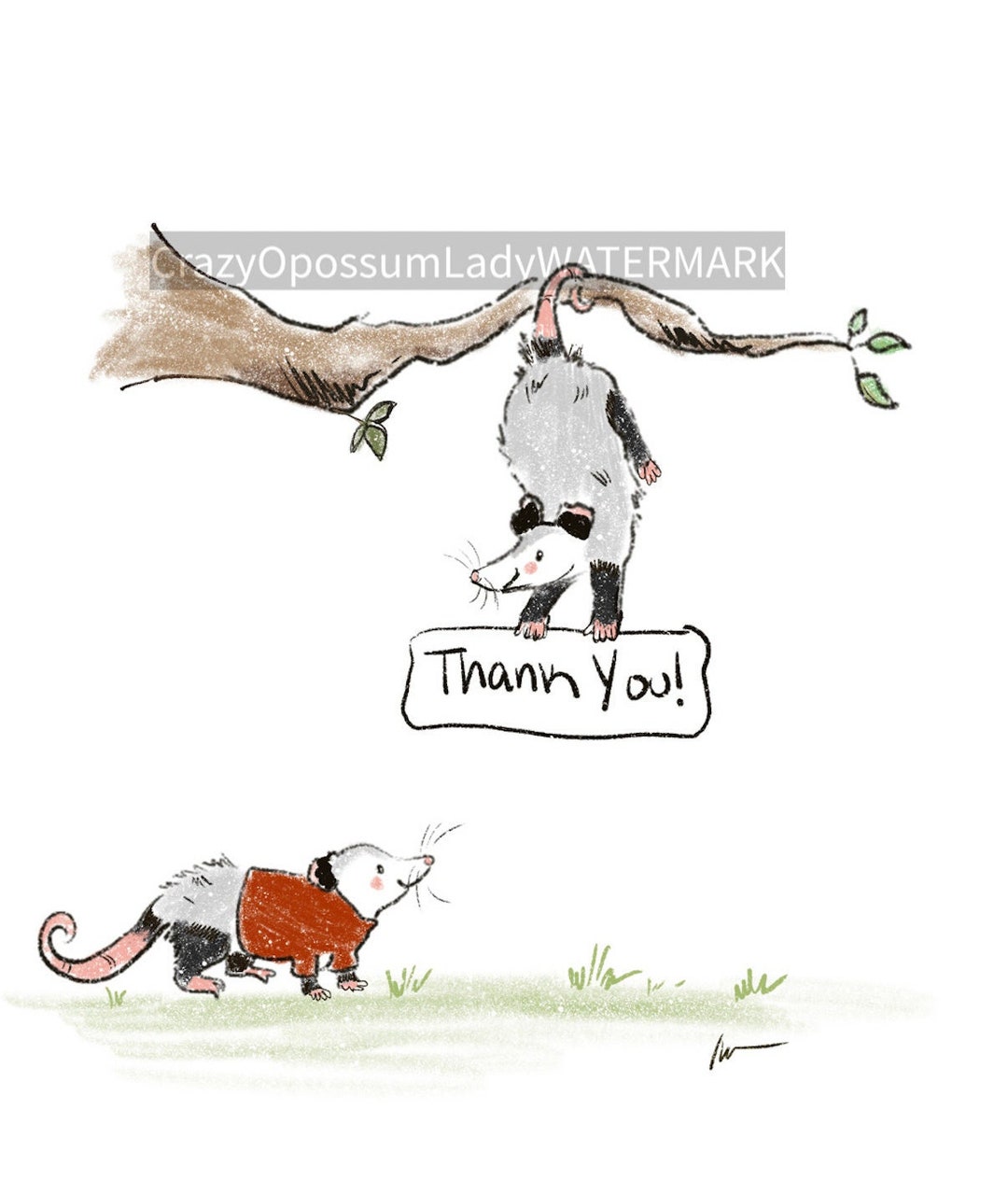 Greeting Card : Thank You Opossum Possum, Art, Stationary, Wildlife ...