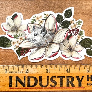 Sticker : Large Possum Opossum in Swamp Magnolias Planner, Craft, Vinyl ...