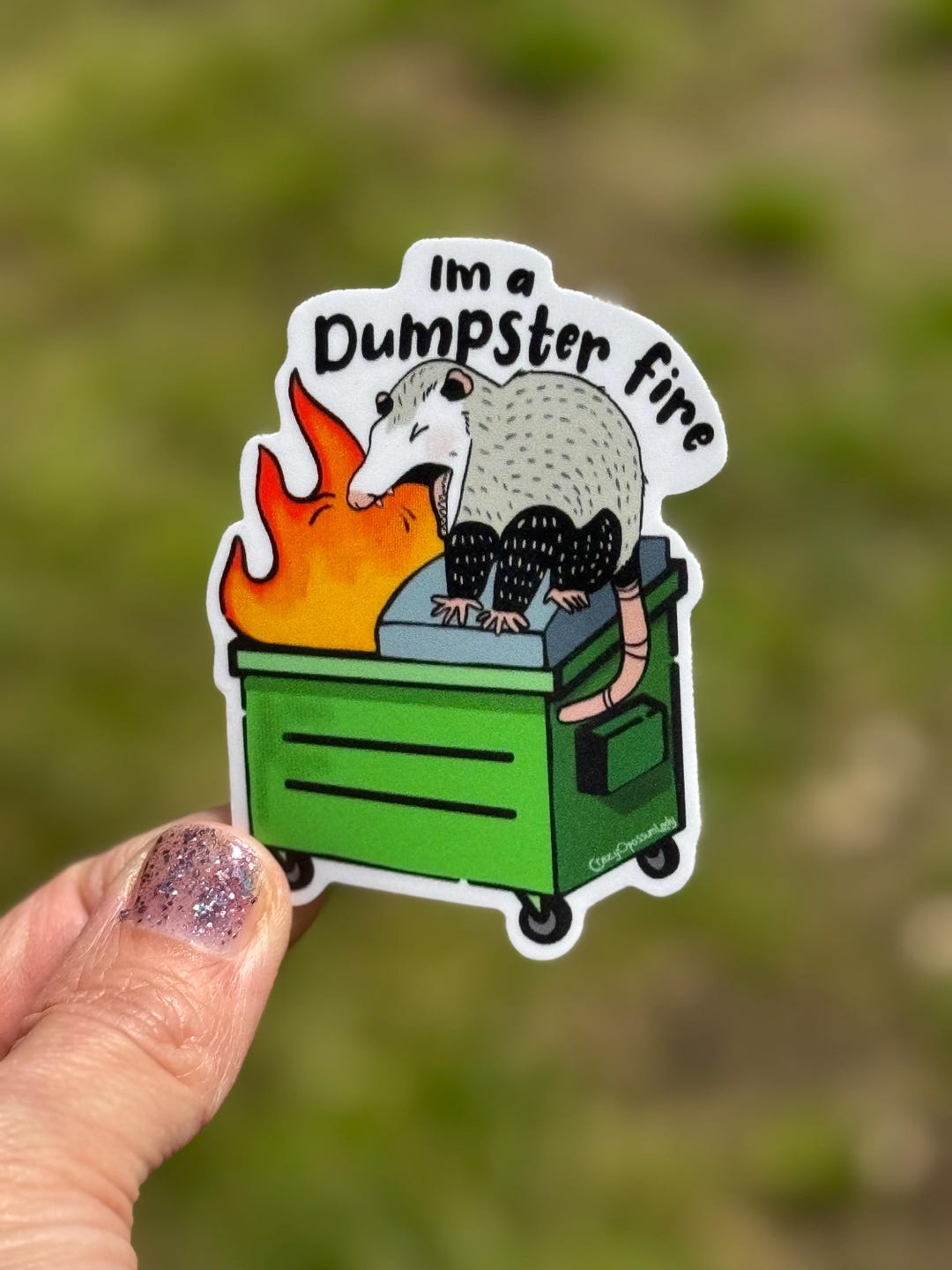 Sticker: Dumpter Fire Possum Opossum Planner, Craft, Vinyl Art Sticker ...