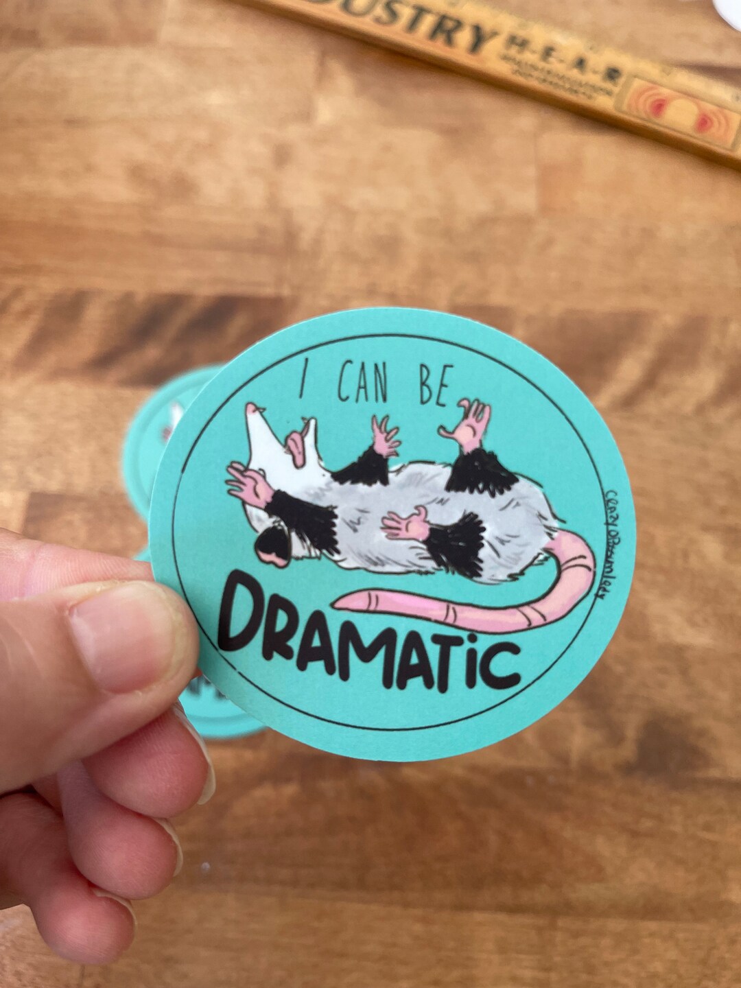 Sticker: I Can Be Dramatic Possum Opossum Planner, Craft, Vinyl Art ...