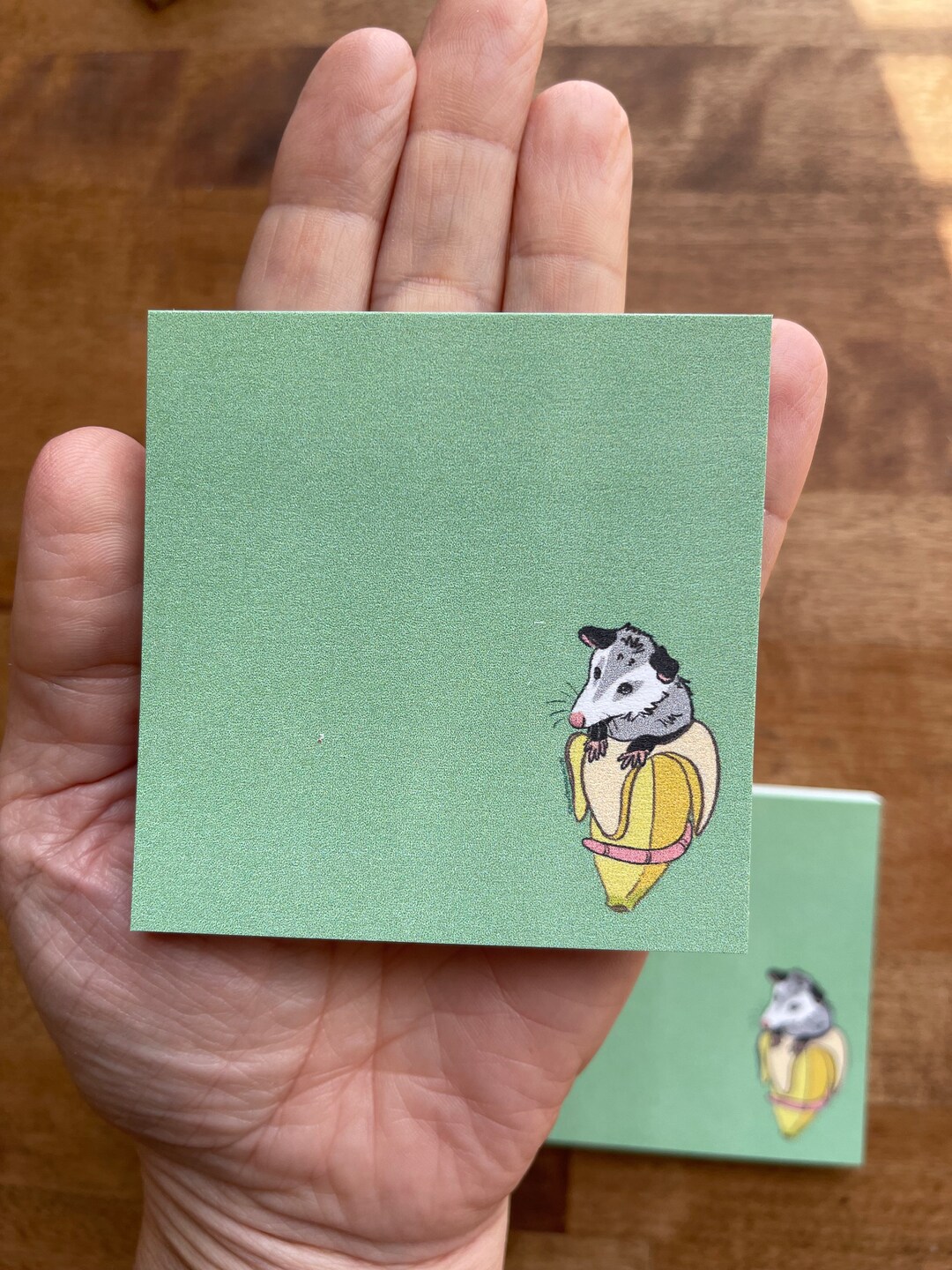 Sticky Notepad : Opossum Possum in Banana Notepad, Art, Stationary ...