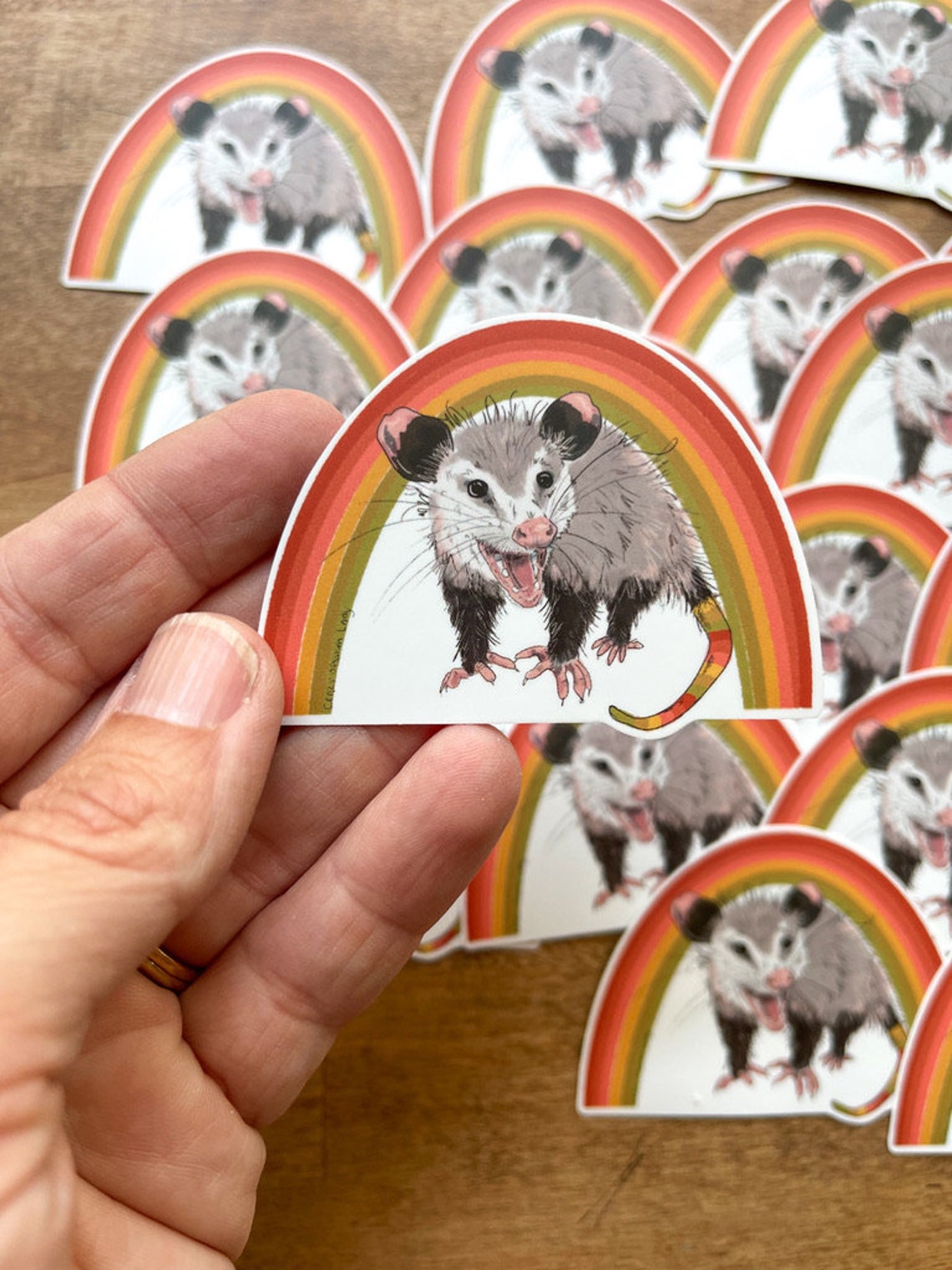 Sticker: Vintage Rainbow Possum Opossum Planner Craft Vinyl - Etsy