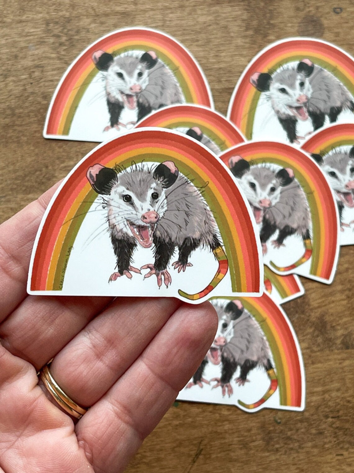 Sticker: Vintage Rainbow Possum Opossum Planner Craft Vinyl - Etsy