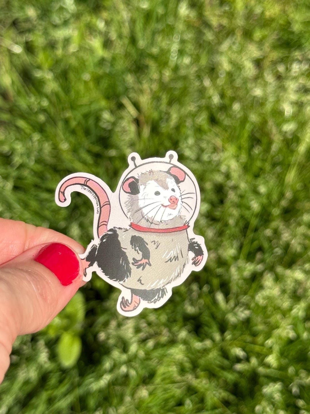 Sticker: Space Possum Opossum Planner, Craft, Vinyl Art Sticker ...