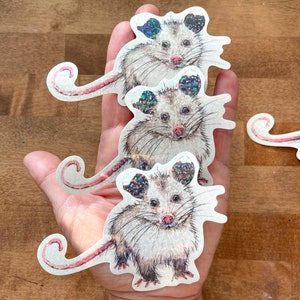 Sticker : Glitter Possum Opossum Planner, Craft, Vinyl Art Sticker ...