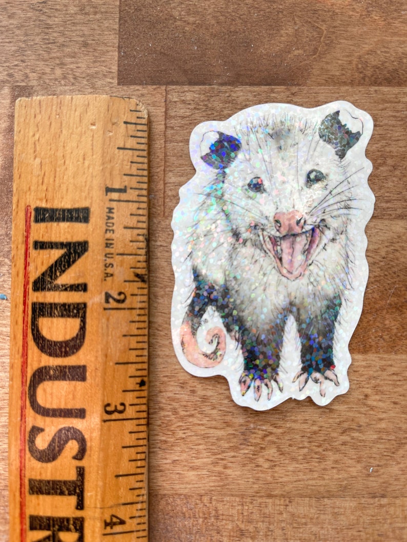 Sticker : Glitter Screaming Possum Opossum Planner Craft | Etsy