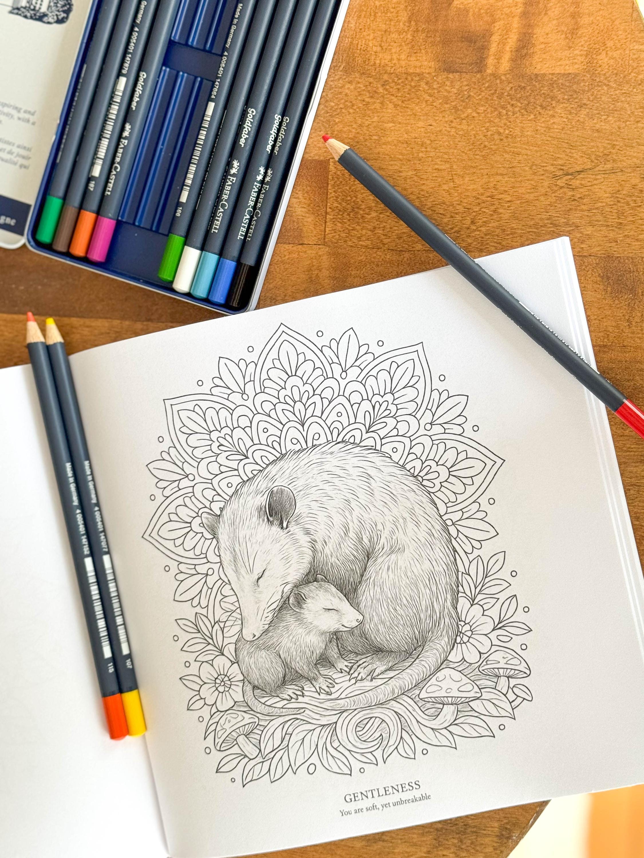 Coloring Meditation Opossum Book With Words Affirmations and ...