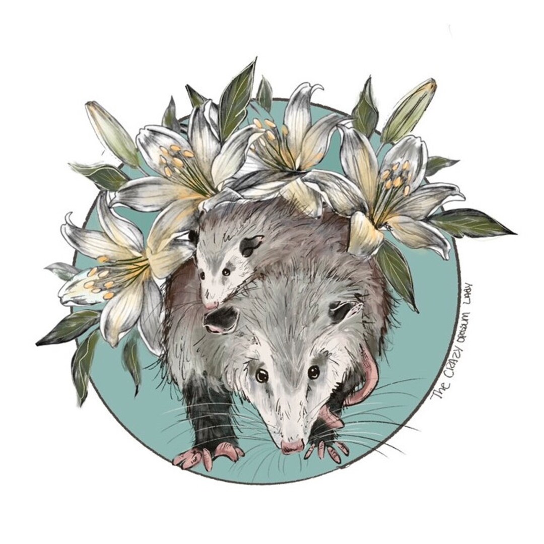Print : Opossum With Lilies Flowers Opossum Classic Vintage Painting ...