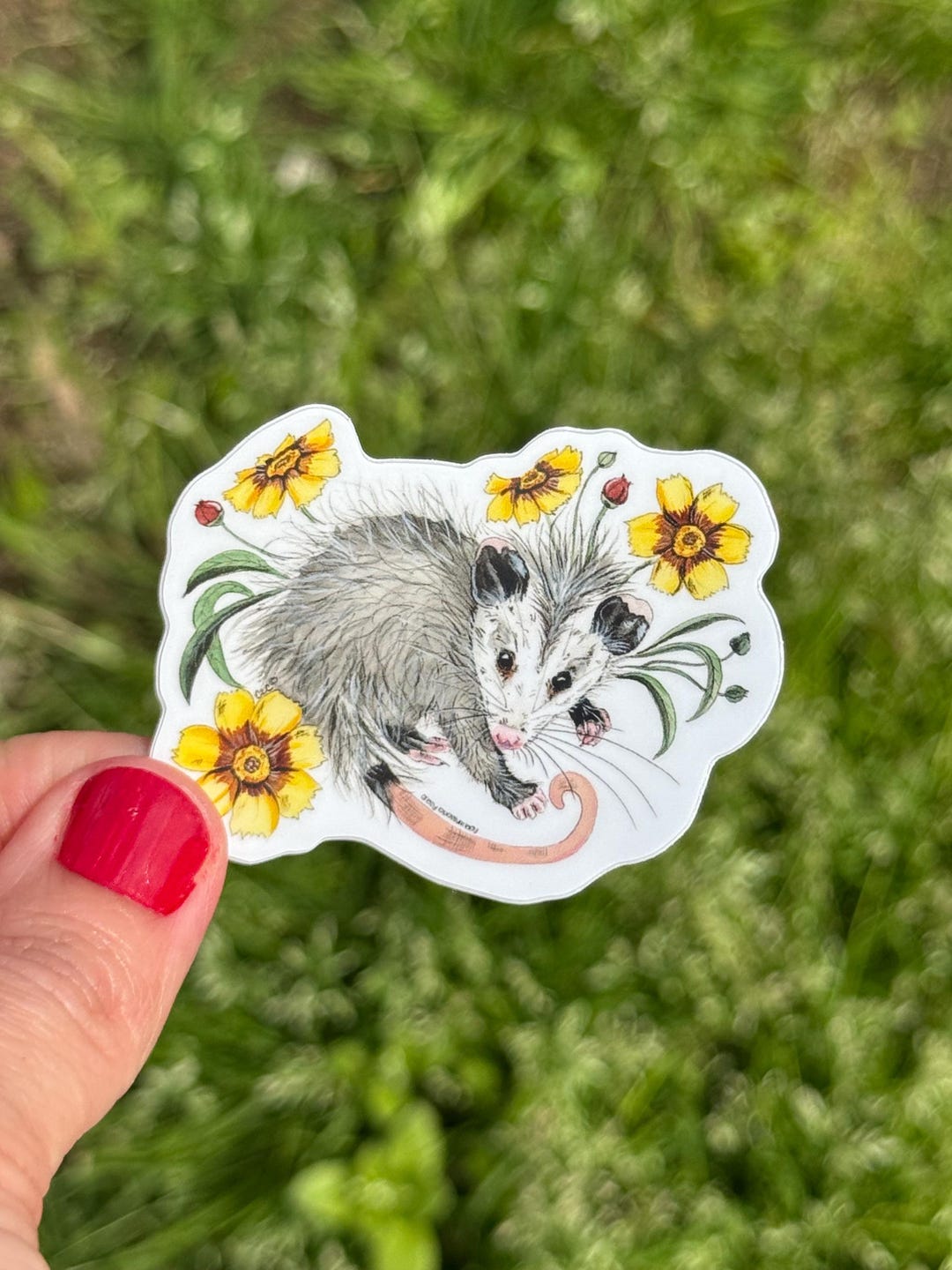 Sticker: Yellow Swamp Flower Possum Opossum Planner, Craft, Vinyl Art ...