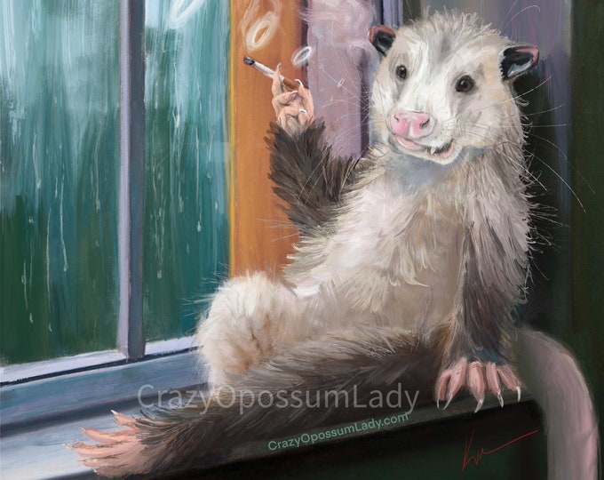 Notepad : Crazy Opossum Lady Possum Screaming Pocket Notepad, Art ...