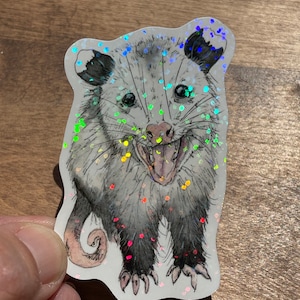 Sticker : Glitter Screaming Possum Opossum Planner, Craft, Vinyl Art ...