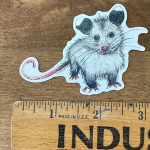 Sticker : Glitter Possum Opossum Planner, Craft, Vinyl Art Sticker ...