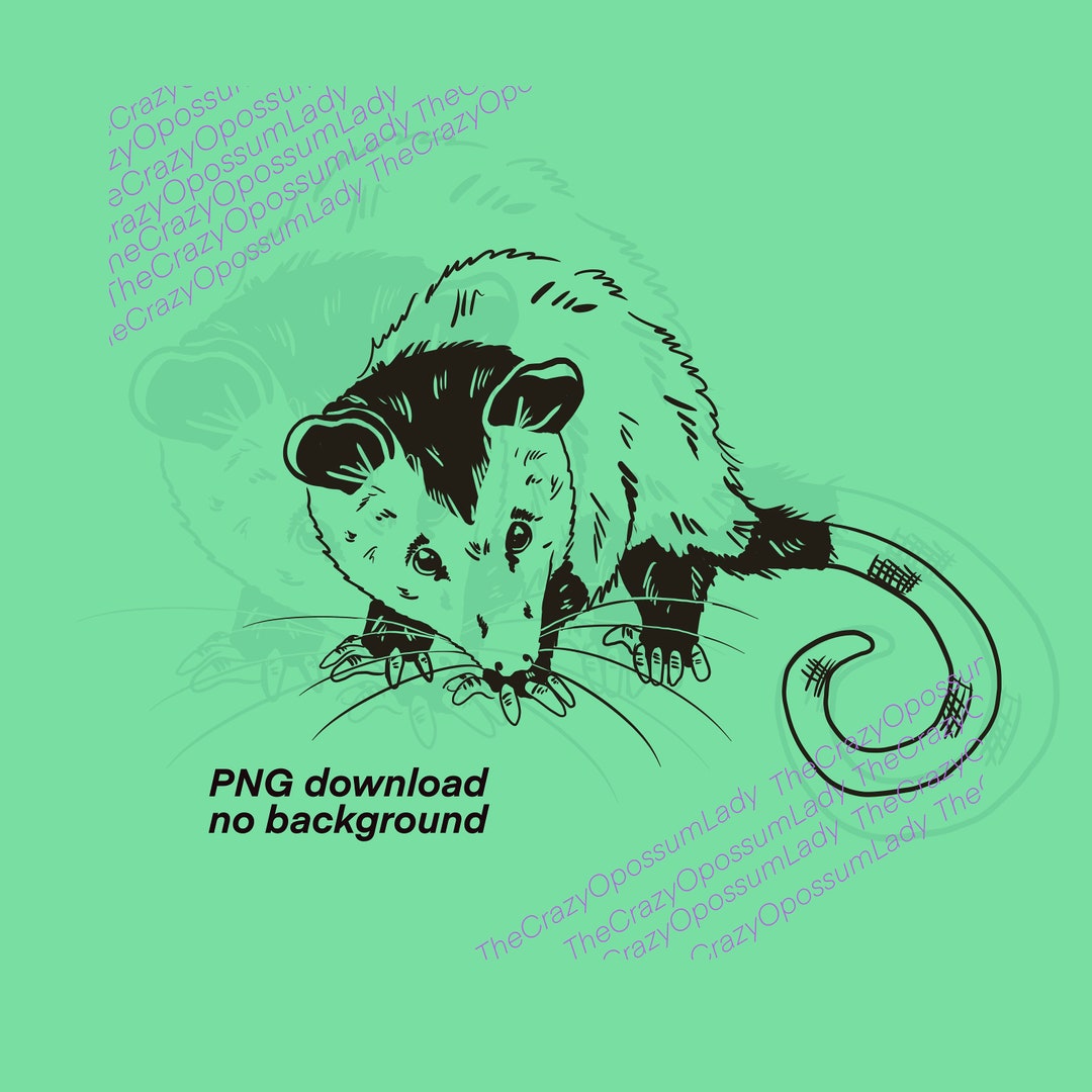 File : Opossum SVG, Possum, Woodland, Wild Virginia Opossum, Cute ...