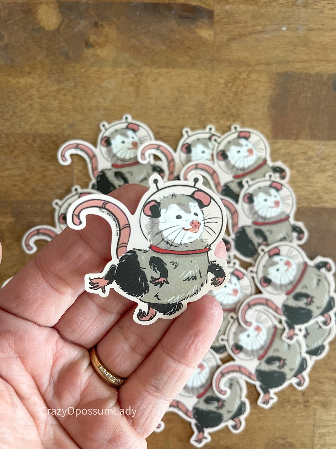 Sticker: Space Possum Opossum Planner, Craft, Vinyl Art Sticker ...