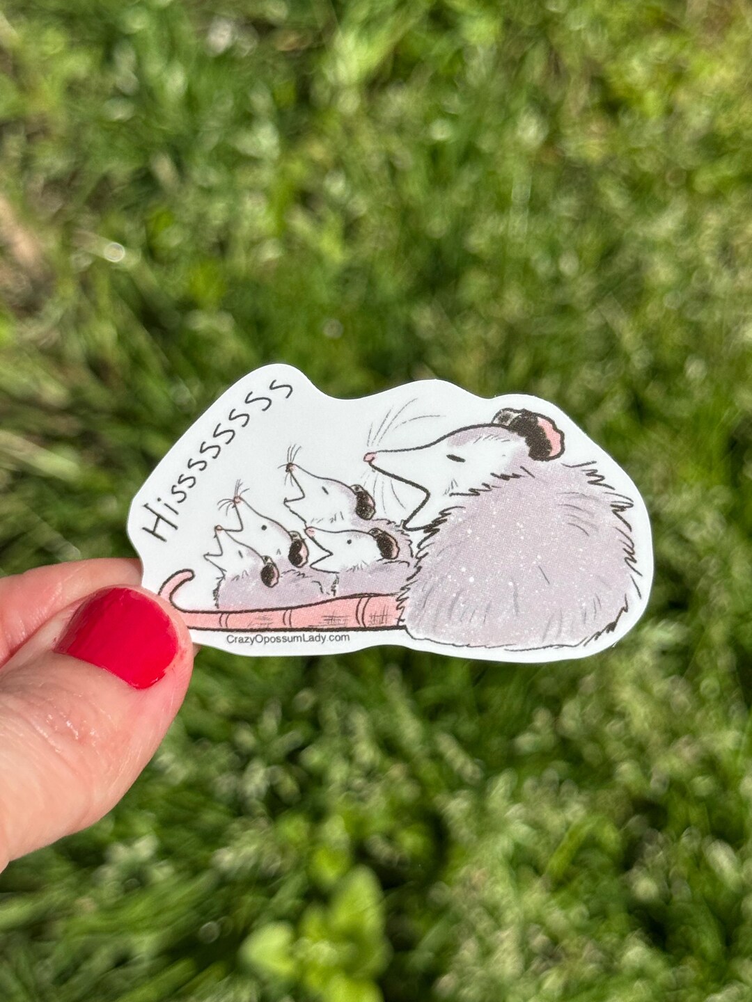 Sticker: Hissing Possum Opossum Planner, Craft, Vinyl Art Sticker ...