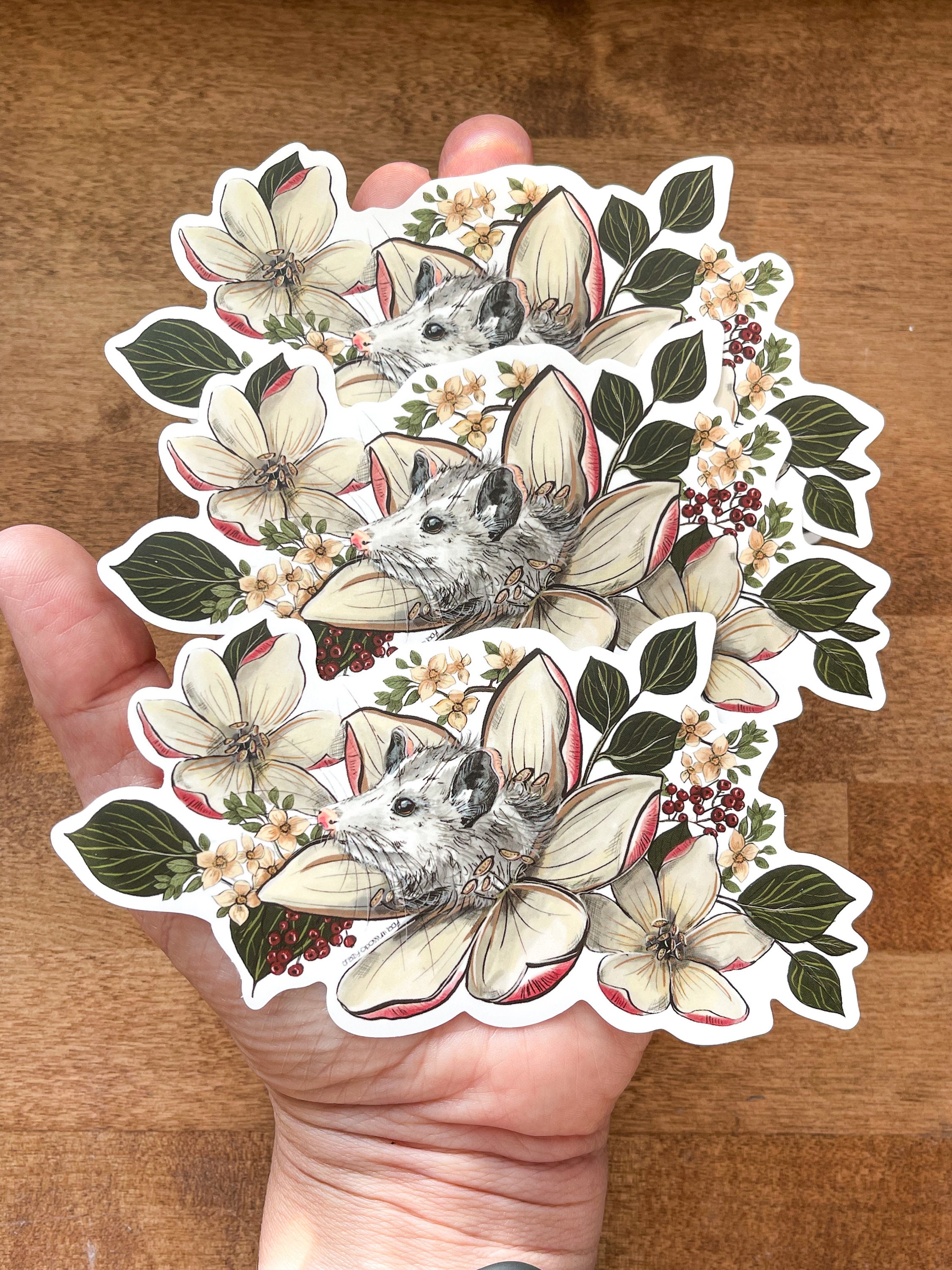 Sticker : Large Possum Opossum in Swamp Magnolias Planner - Etsy