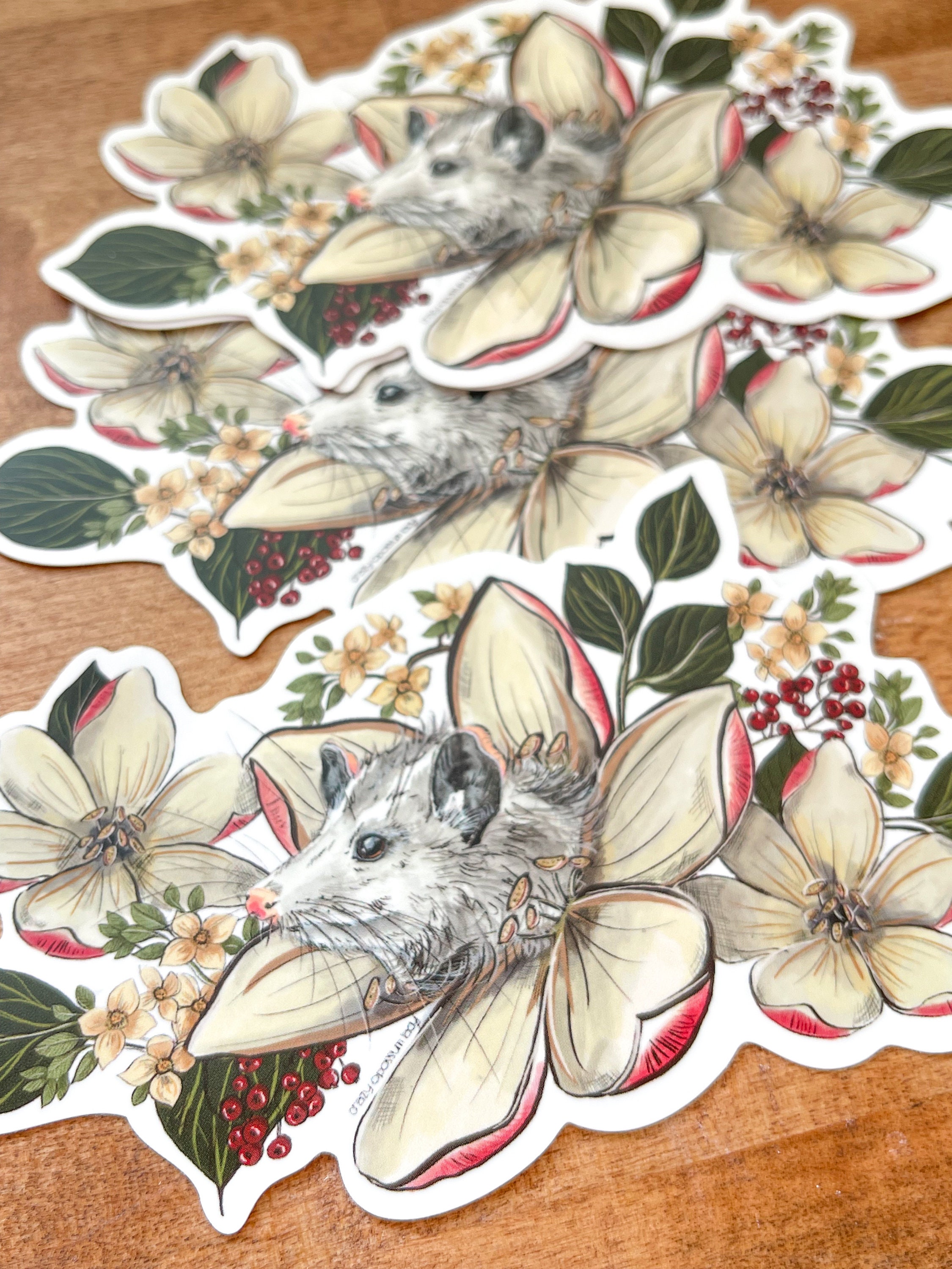 Sticker : Large Possum Opossum in Swamp Magnolias Planner - Etsy