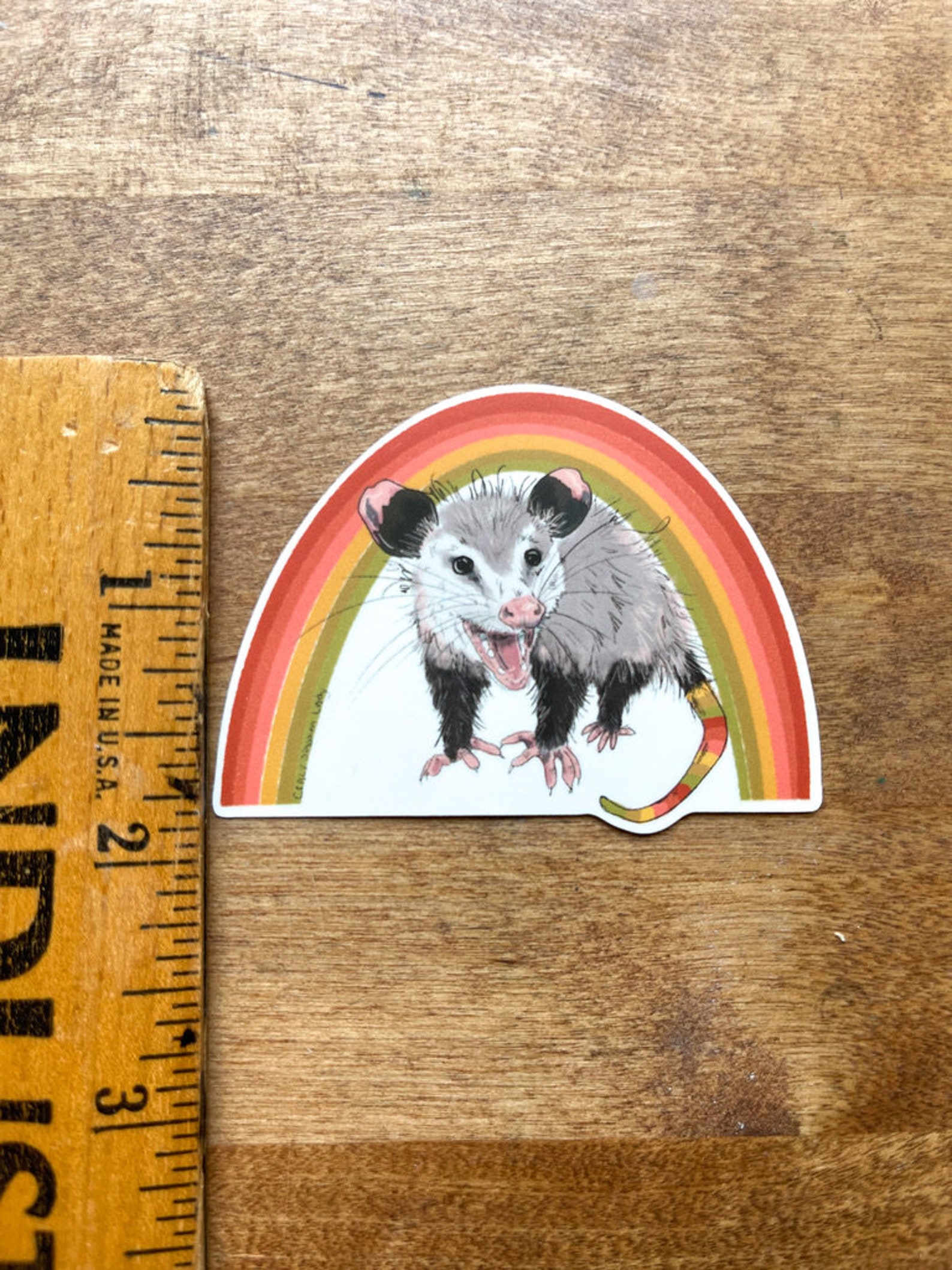 Sticker: Vintage Rainbow Possum Opossum Planner Craft Vinyl - Etsy