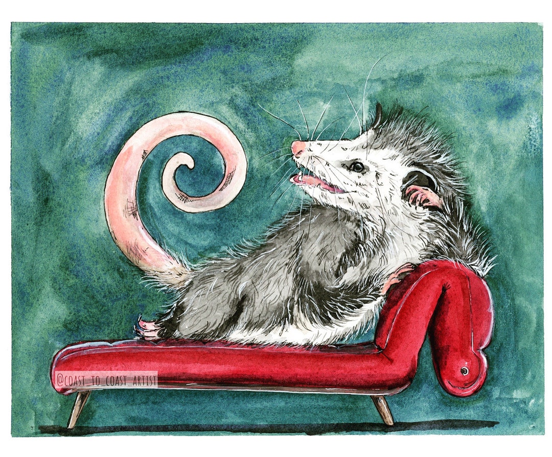 Print : Paint Me Like A French Girl Opossum Wildlife Art, Rehab Animal ...