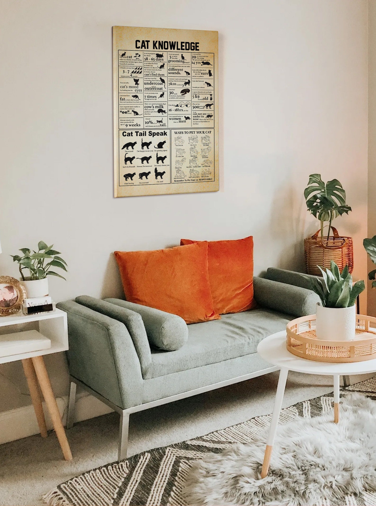 Cat Knowledge Poster Poster Cat Cat Canvas Cat Lover Cat - Etsy