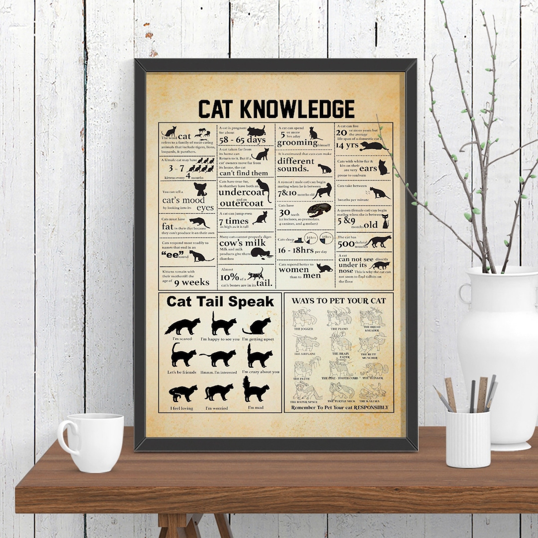 Cat Knowledge Poster, Poster Cat, Cat Canvas, Cat Lover, Cat Knowledge ...