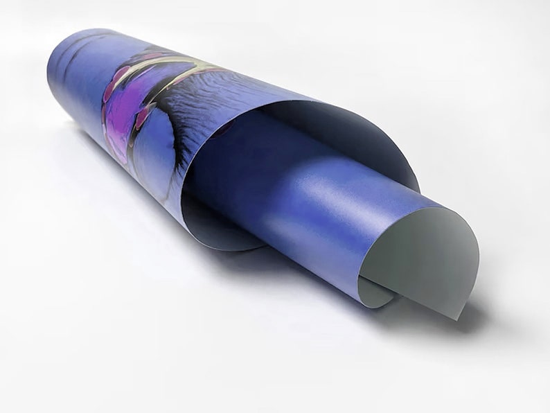 Trap Shooting Poster, Trap Shooting Canvas, Trap Shooting Rules Print ...