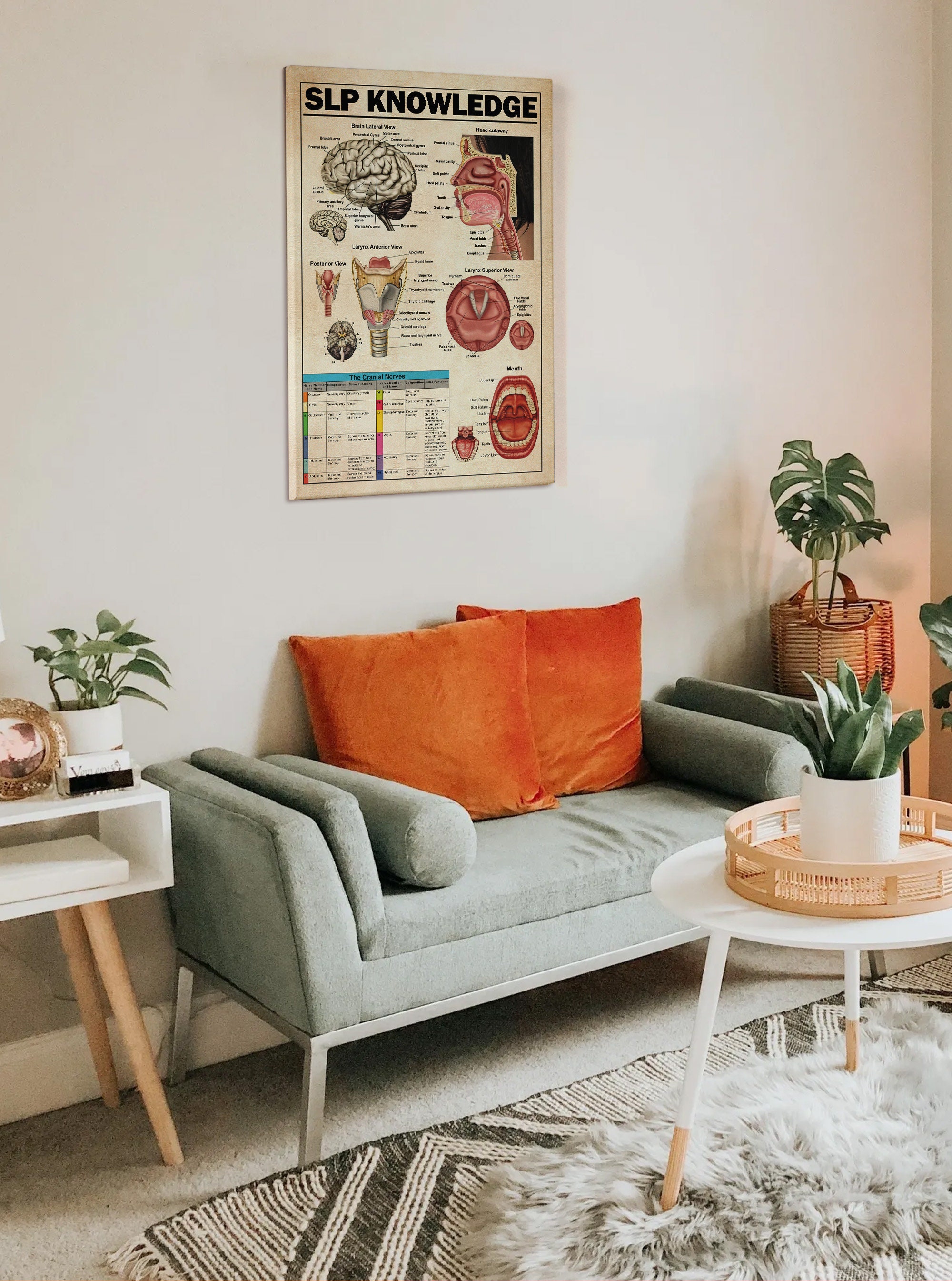 Speech Language Pathology SLP Knowledge Posters SLP Canvas - Etsy