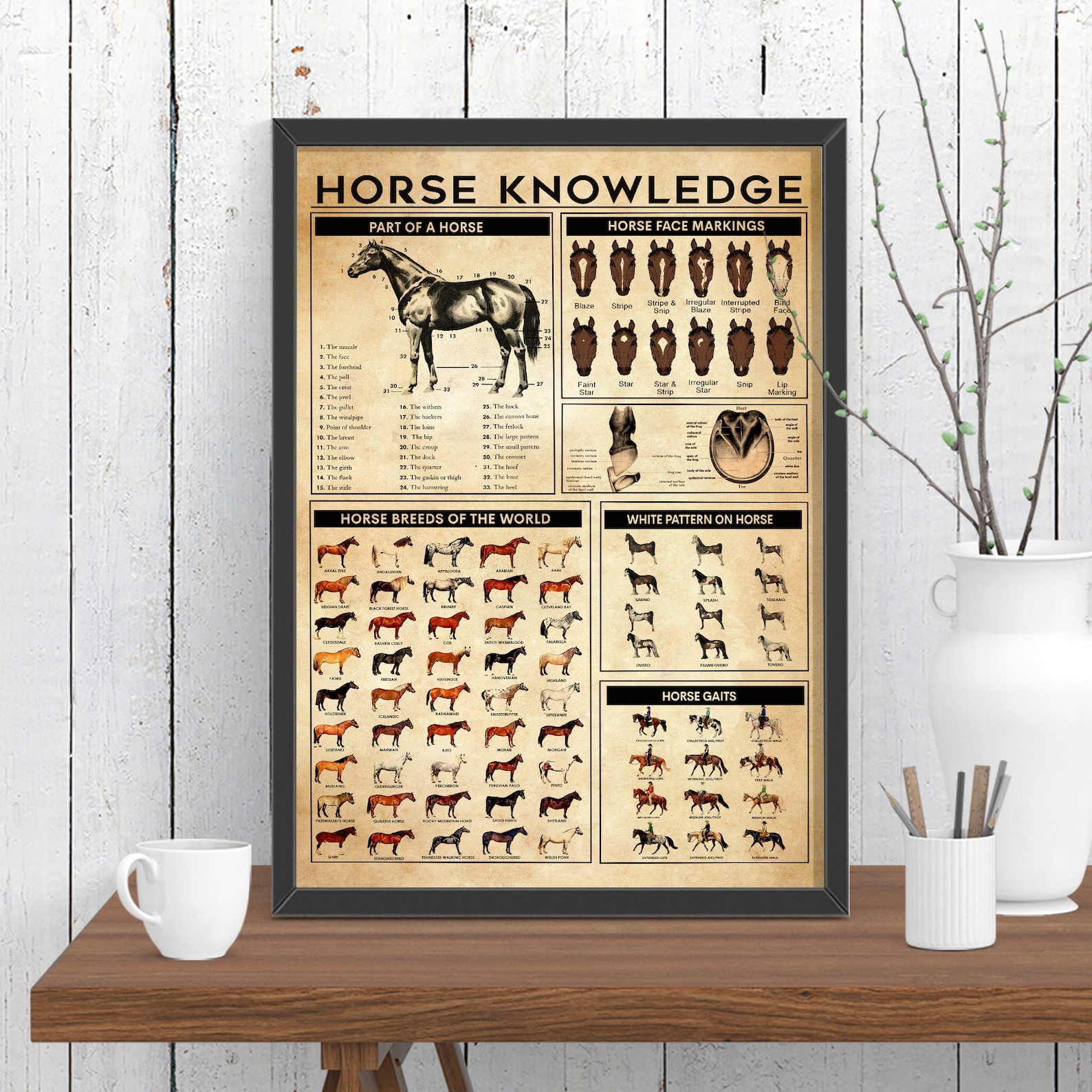 Horse Knowledge Canvas Horse Poster Horse Lover Gift Horse - Etsy