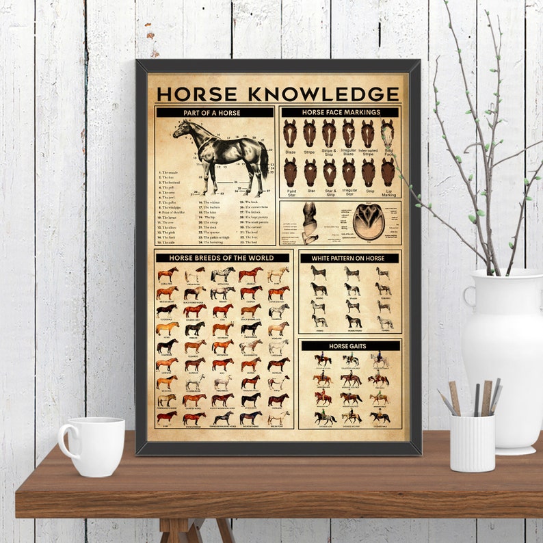Horse Knowledge Canvas Horse Poster Horse Lover Gift Horse - Etsy