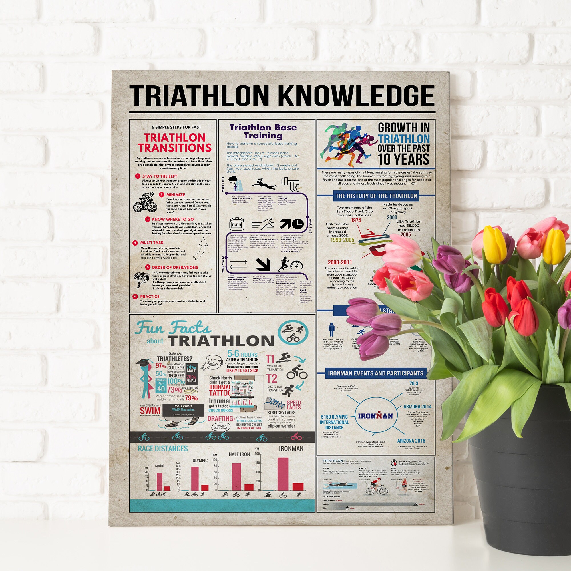 Triathlon Knowledge Poster, Triathlon Poster, Triathlon Print, Gift of ...