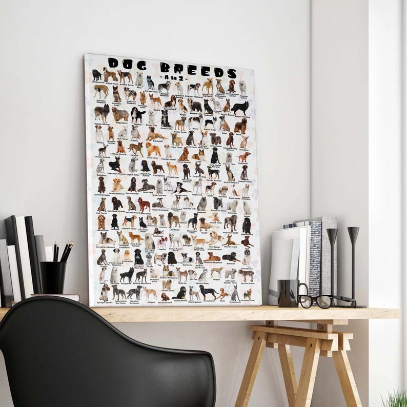 Dog Breeds Poster: Veterinarian Gift, Dog Lover Infographic - Etsy