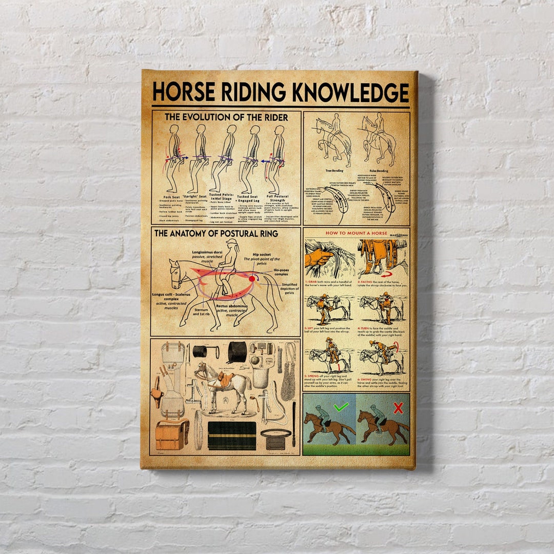 Horse Riding Knowledge Poster, Horse Riding, Sport Poster, Horse Poster ...