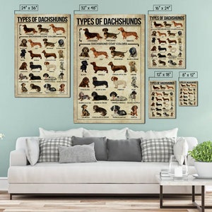 Types of Dachshunds Dog Poster, Dachshunds Knowledge Poster, Dachshunds ...
