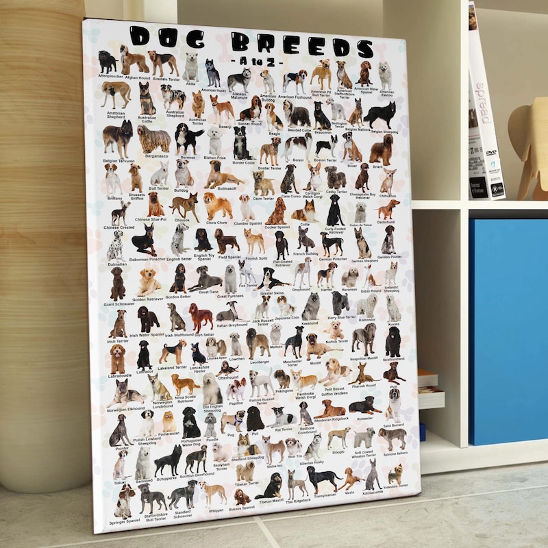 Dog Breeds Poster - Etsy