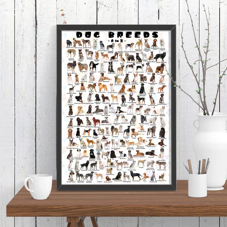 Dog Breeds Poster: Veterinarian Gift, Dog Lover Infographic - Etsy