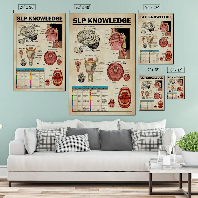 Speech Language Pathology SLP Knowledge Posters SLP Canvas - Etsy