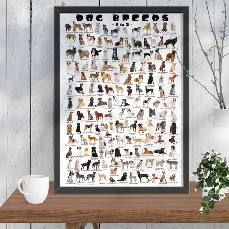 Dog Breeds Poster: Veterinarian Gift, Dog Lover Infographic - Etsy