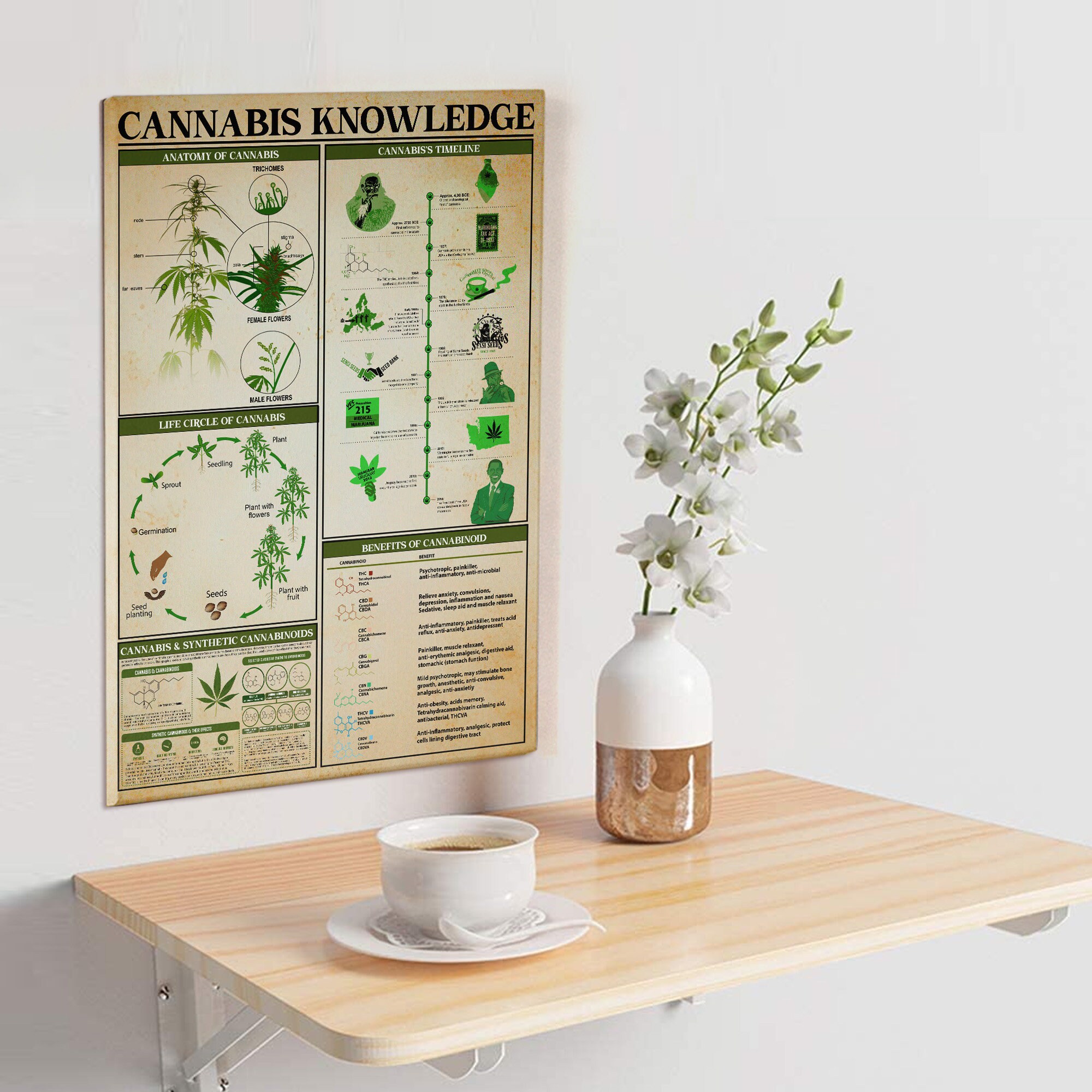 Cannabis Knowledge Vertical Poster Knowledge Poster Plants - Etsy