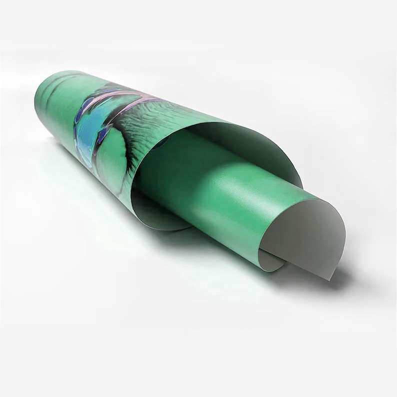 Whitewater Kayaking Knowledge Poster Kayak Poster Kayak | Etsy