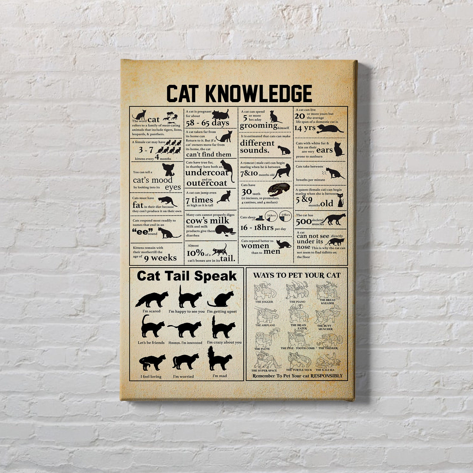 Cat Knowledge Poster Poster Cat Cat Canvas Cat Lover Cat - Etsy