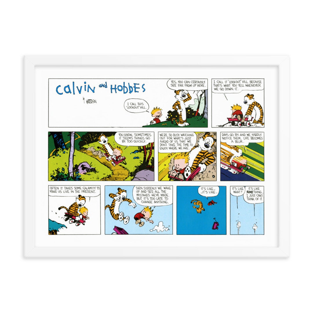 18x24 Framed Print - Comic Strip Lookout Hill Life Becomes A Blur ...