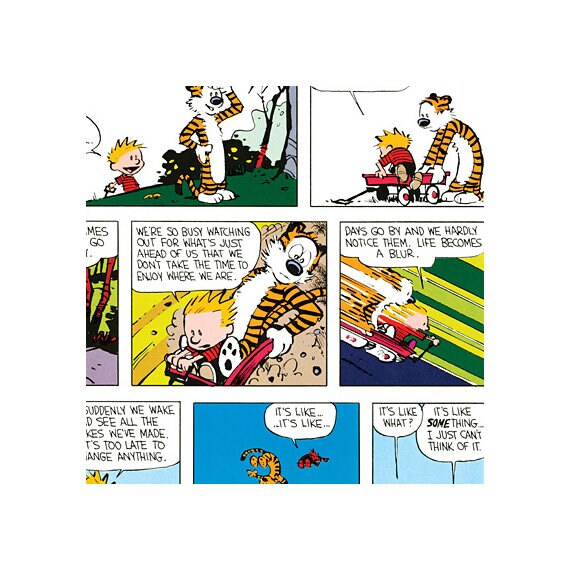 17x22 - Comic Strip Lookout Hill Life Becomes A Blur Poster Print 0649 ...