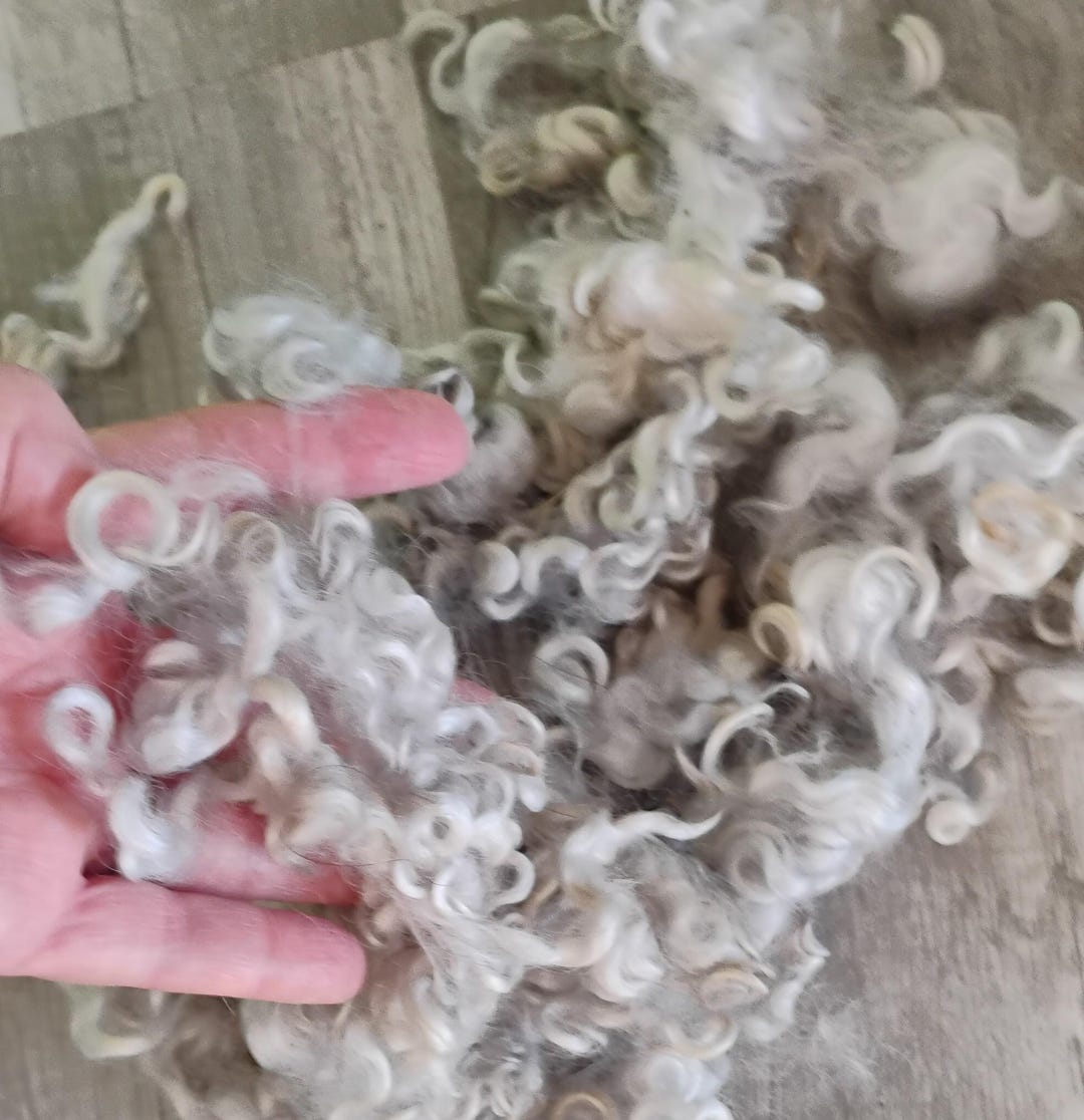 Ethically Sourced. Leicester Longwool Locks. Average 4". Sold by .50 ...