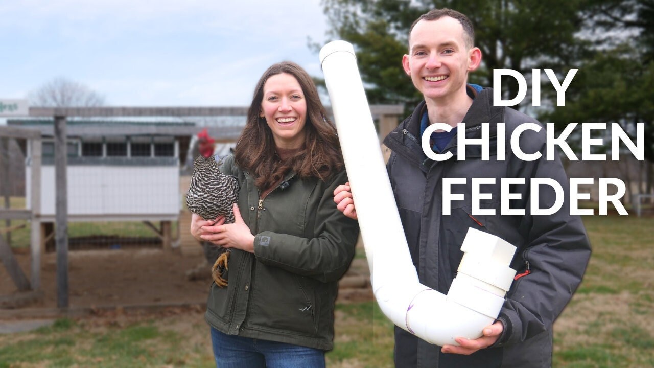 DIY Chicken Feeder Plans - PVC & Gravity Fed! - Etsy