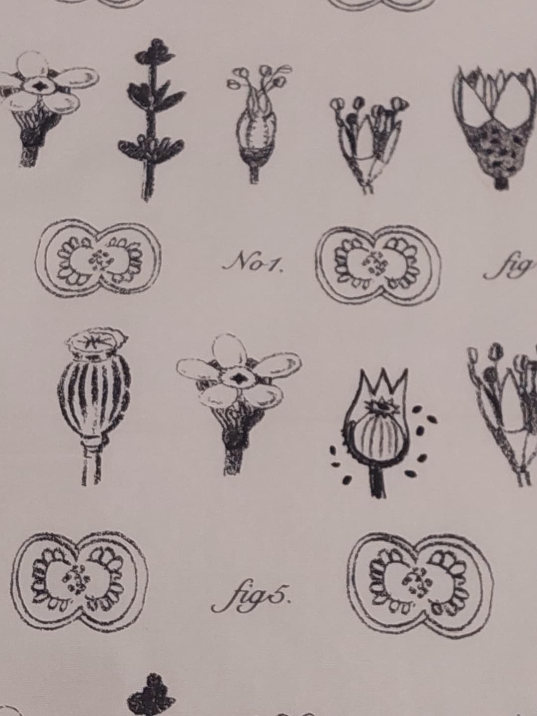 IKEA Botanic Print Fabric - Lisel Garsveden Design - Farmhouse Style - Etsy