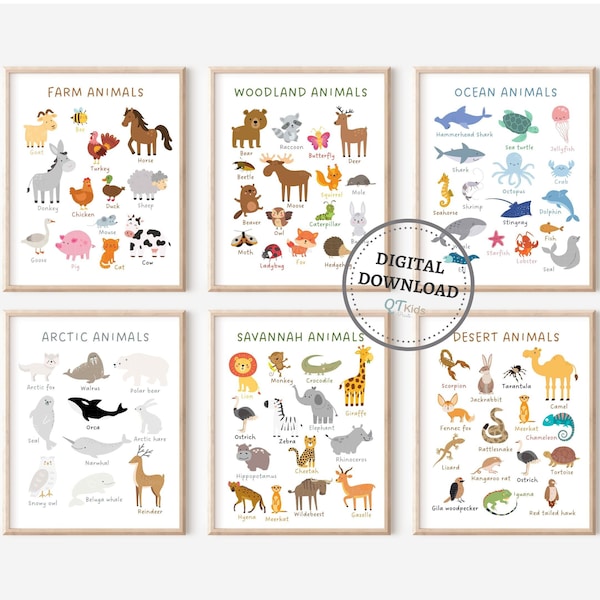 Animal Posters for Kids - Etsy