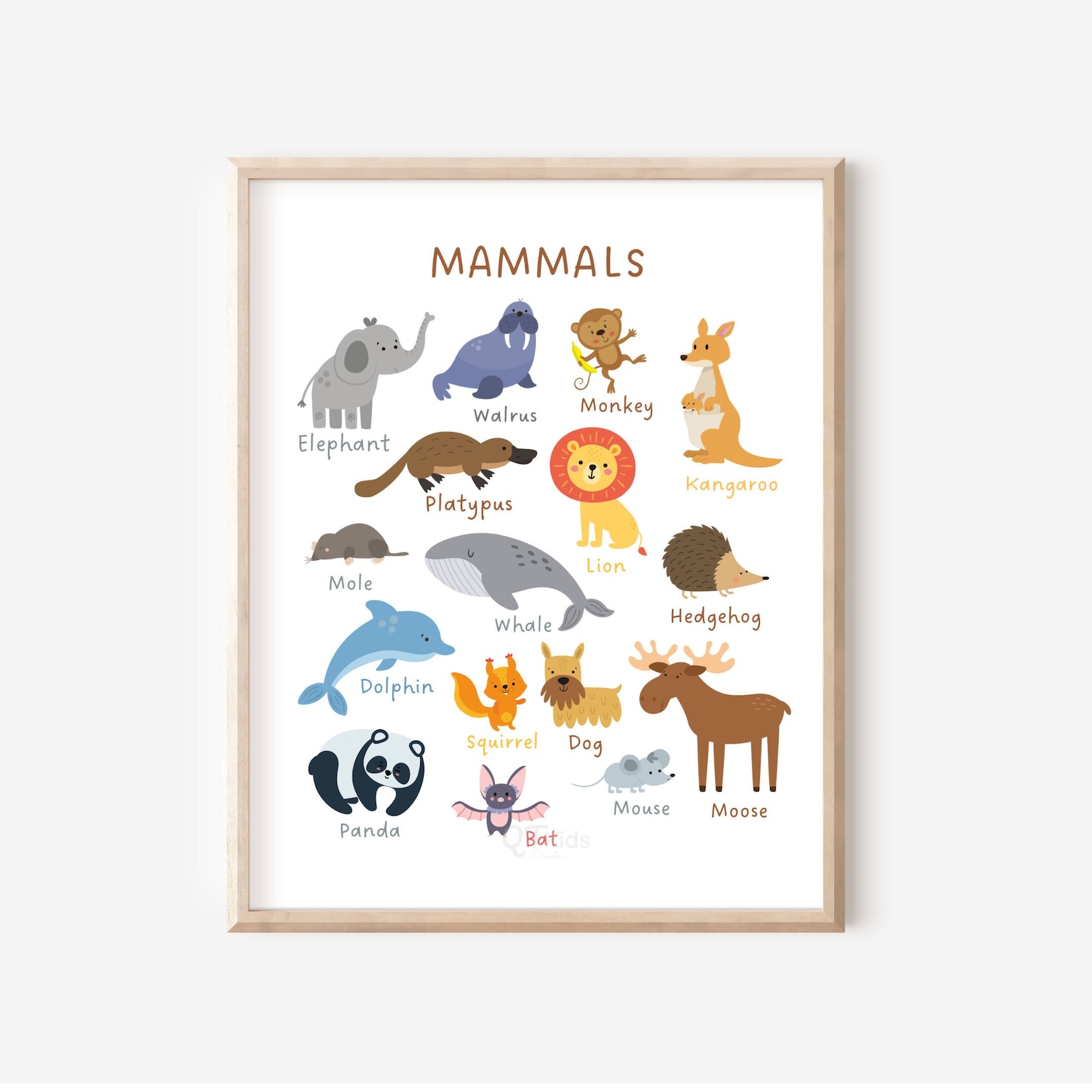 Kids Educational Prints, Animal Classification, Classroom Posters, Home ...