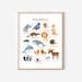 Kids Educational Prints, Animal Classification, Classroom Posters, Home ...