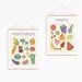 Fruits Vegetables Educational Prints, Classroom Printable, Learning ...